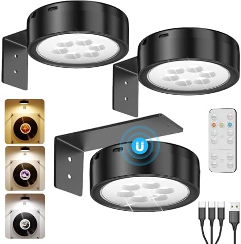 Lightsjoy 3 Pack Picture Lights for Wall - Battery Operated Gold ...