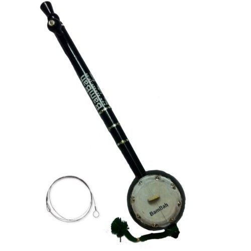 Tumbi(Toombi) BamBah with extra string & mizrab ek tara traditional ...