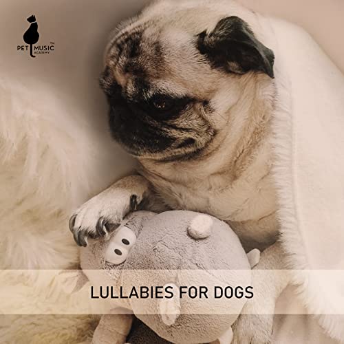 Play Lullabies for Dogs: Relaxing Ambient Sounds to Calm Your Dog by ...