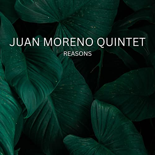 Ice Vibe – Die 15 besten Produkte im Vergleich - Reiterguide Ratgeber