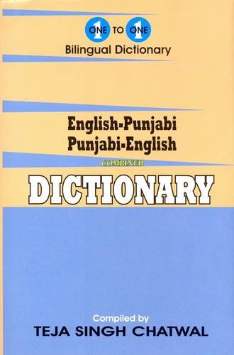 Buy English-Punjabi & Punjabi-English One-to-one Dictionary - Script ...