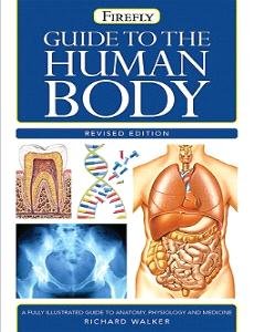 Guide to the Human Body : Amazon.ca: Livres