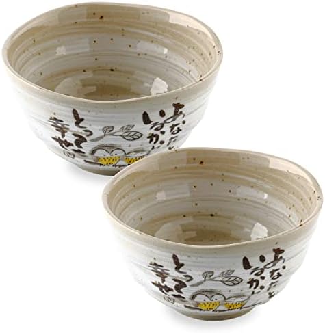 Amazon.com | Japanese Mino Ware Ceramic Rice Bowl Set, Rabbits, Moon ...
