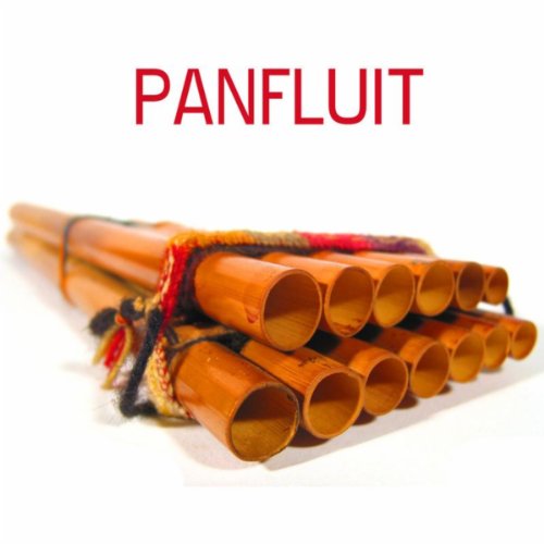 Amazon MusicでFluit OntspanningのPanfluitを再生する