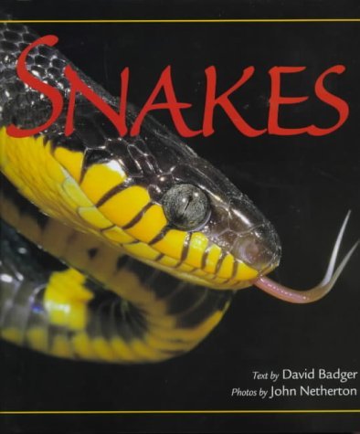 Amazon | Snakes | Badger, David, Netherton, John | Reptiles & Amphibians