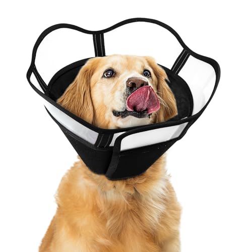 Hondenkegelhalsband – De 15 beste producten vergeleken - Wild uitgelegd