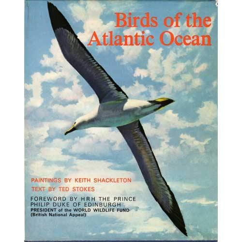 Birds of the Atlantic Ocean: Stokes, Ted: Amazon.com: Books