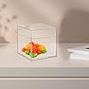 Amazon.com: 12 Pack Acrylic Box, Small Clear Plastic Square Cube Box ...