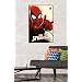 Amazon.com: Trends International Glow - Marvel Spider-Man Glow-In-The ...