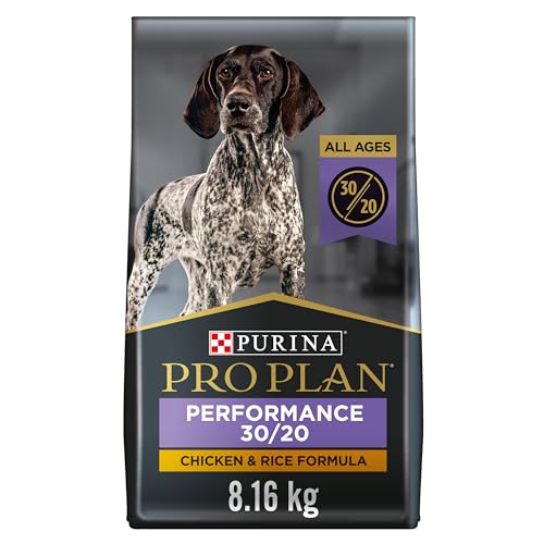 10 Best Proformance Dog Foods for Your Pup's Health and Happiness: Our ...
