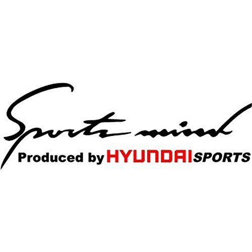 ARWY Sports Mind Hyundai Sides, Windows, Bumper, Hood Car Sticker ...