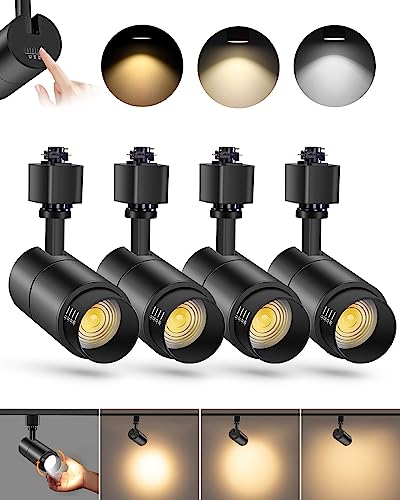 Amazon.com New Releases: The best-selling new & future releases in ...