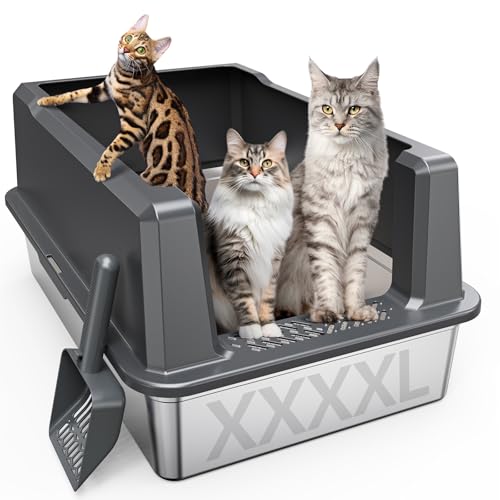 Biggest Litter Box – The 15 best products compared - Wild Explained