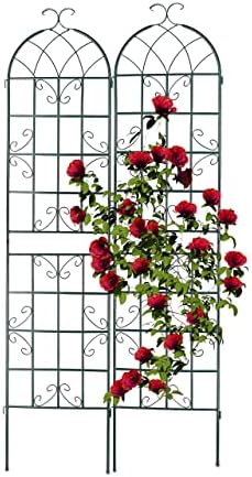 Relaxdays Garden Trellis, Set of 2, 220 x 50 cm, Metal, Support for ...