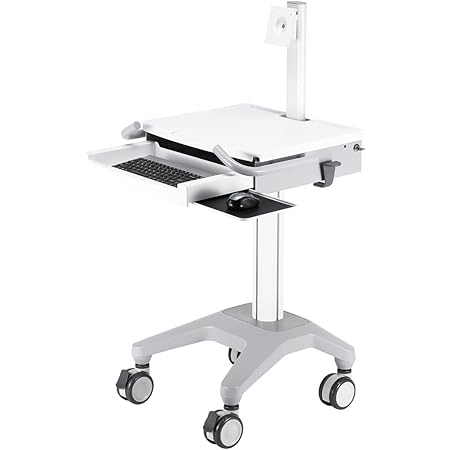 Amazon.com: Mount-It! Adjustable Mobile PC Workstation for Dual ...