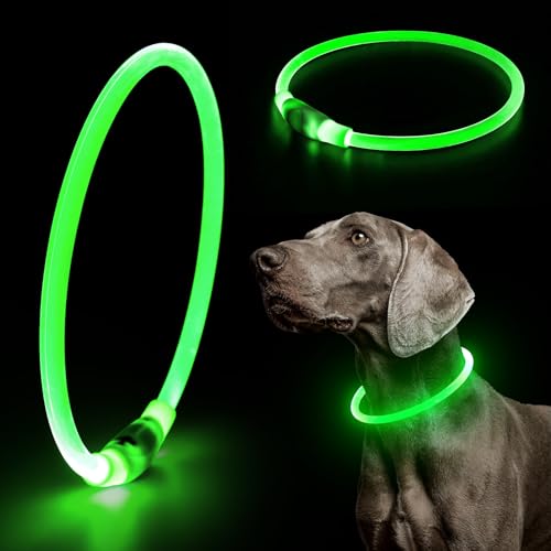 Best Glow in the Dark Dog Collars (Top 8 Best Choices) - Pet So Fun