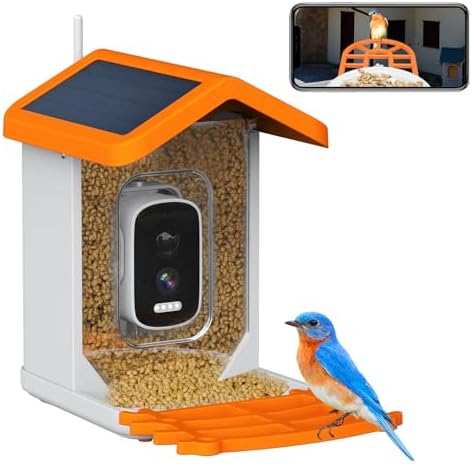 Amazon.com : Oneware Wild Bird Feeder Camera, Smart Motion Activated ...