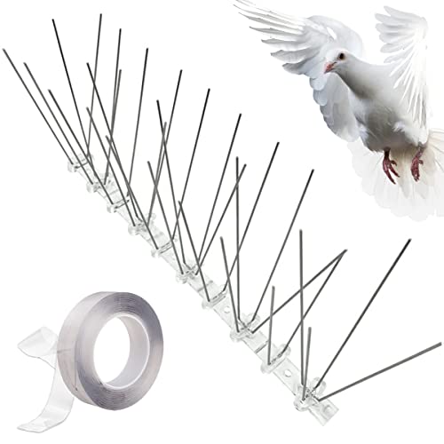 Guía para comprar los mejores pinchos anti palomas - Casacochecurro
