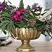 Amazon.com: Accent Decor Distressed Gold Metal Compote Bowl | Gold ...