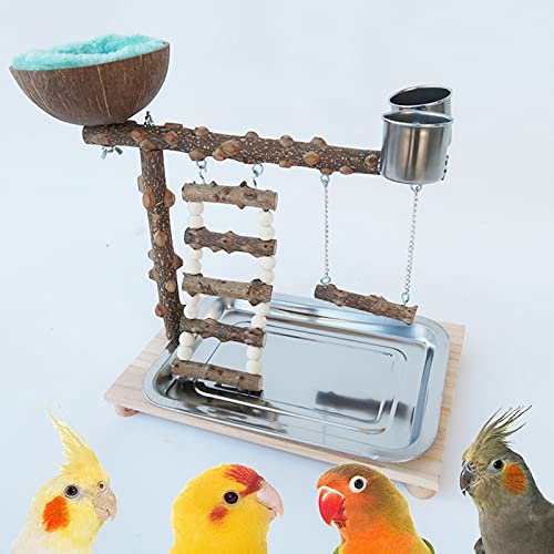 PIES y PERCHAS para Loros 】 PALOS para loros Limauñas y Java