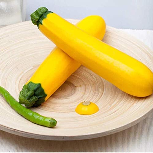 80st Geel Zeldzaam Courgette Zaden Non-GMO Heirloom Groente Zaadtuin ...