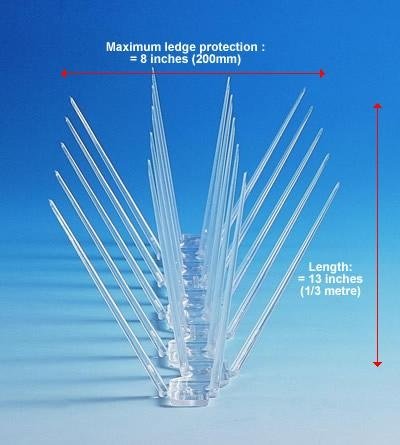 SPIKEZONE - Spikes for Bird & Pigeon, Polycarbonate Bird/Pigeon Control ...
