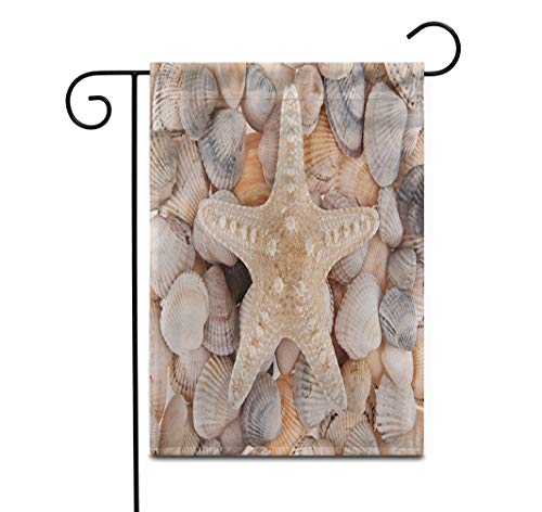 Best Cockle Shells for Garden: Creative Decor and Practical Uses – The ...