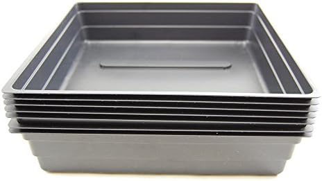 Amazon.com : 10 Plant Growing Trays (WITH Drain Holes) - 20" x 10 ...