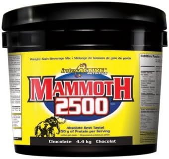 Interactive Nutrition Mammoth 2500 Chocolate 4400 g - Weight Gain ...