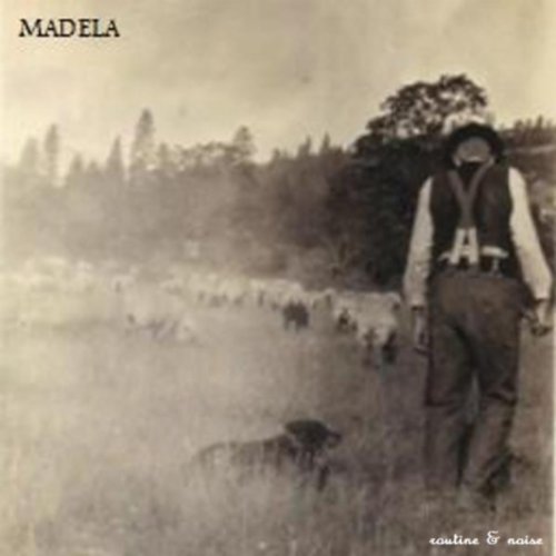 Alocacoc – Die 16 besten Produkte im Vergleich - Management Tricks