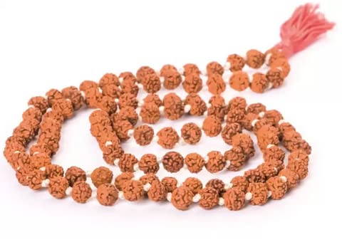 ADI Jewels Five Face Rudraksha Mala Nepali Natural 108 Beads 5 Mukhi ...
