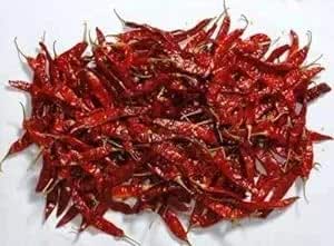 Nature Seeds Premium Kashmiri Mirchi Tree Seeds Fresh and Ready to ...