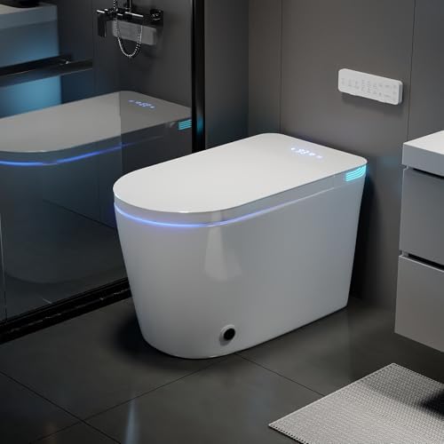 TOTTE Luxury Smart Toilet with Bidet Built-in, Auto Open/Close, Dual ...