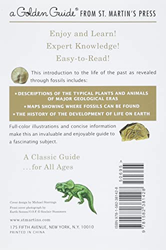 The 30 Rock & Mineral Field Guides To Read In February 2026 - Cherry Picks