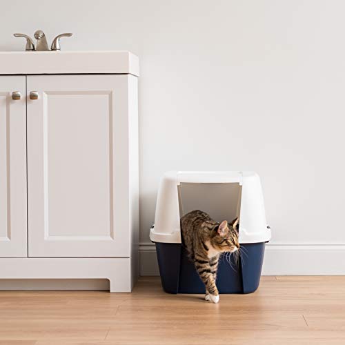 Best Extra Large Litter Box in 2022 (with Reviews!)