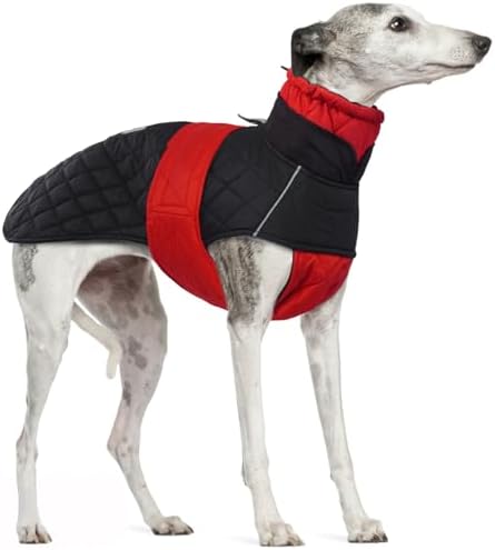 Lurcher Dog Coats Waterproof, Lurcher Jacket Greyhound Pyjamas Lurcher ...