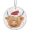 Amazon.com: Christmas Coo Highland Cow with Christmas Hat Ceramic ...