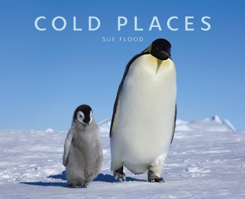 Cold Places: Amazon.co.uk: Sue Flood: 9780956788603: Books