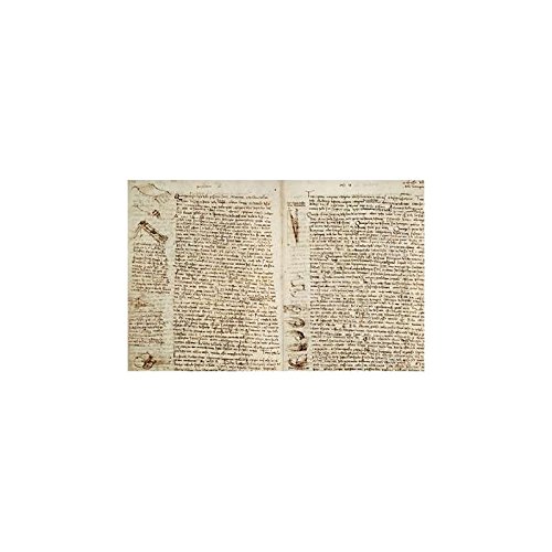 The Codex Hammer : Amazon.in: Home & Kitchen