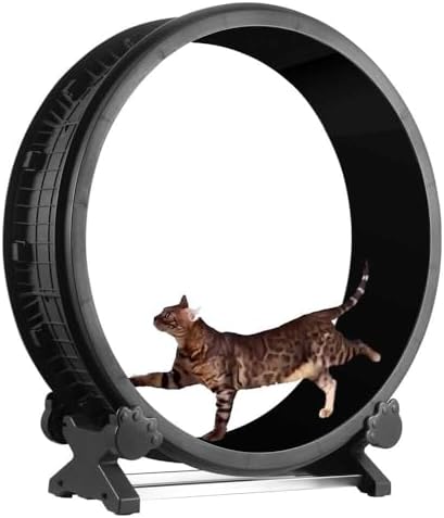 FM Feline Motion Cat Exercise Wheel - Energetic Cat Treadmill Running ...