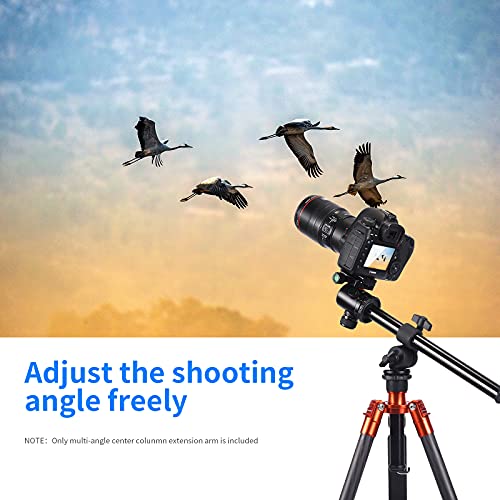 The 30 Best Tripod Center Columns of 2026 [Verified] - Cherry Picks