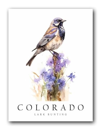 Amazon.com: Lark Bunting, The State Bird of Colorado, Poster Print ...
