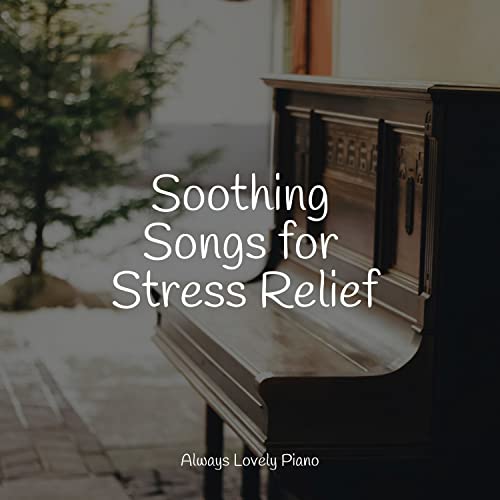 Play Soothing Songs for Stress Relief by Meditaciones, Relaxaing ...