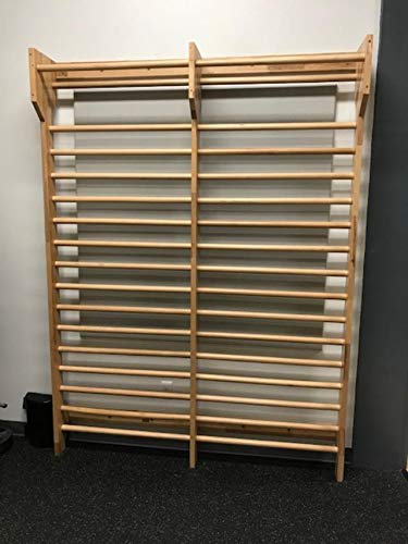 ARTIMEX Double Wall Bars From Beech Swedish Ladder For Physical artimex-double-wall-bars-from-beech-swedish-ladder-for-physical