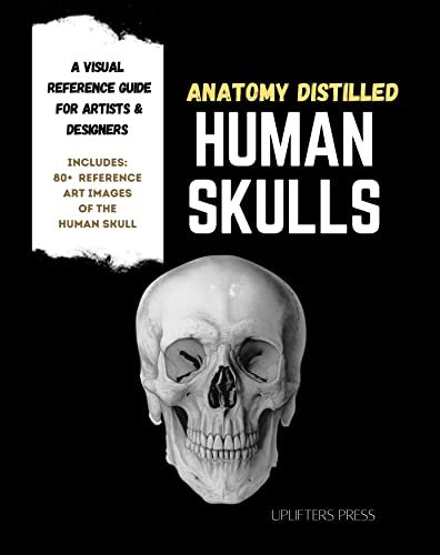 Amazon.com: Anatomy Distilled Human Skulls: A Visual Reference Guide ...