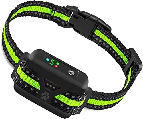 5 Of The Best Samoyed Bark Collar Choices - Happy Samoyed