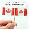 Amazon.com | Canada Flag, Canadian Flag Toothpicks (Canada): Cocktail Picks