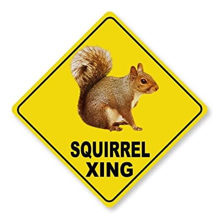 Amazon.com: Squirrel Xing Funny Crossing Sign Quality Metal Sign Tin ...