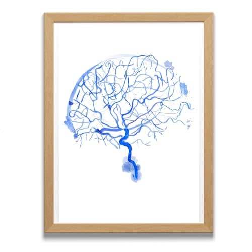 Amazon.com: Radiology Art, Brain Anatomy Poster, Cerebral Vascular ...