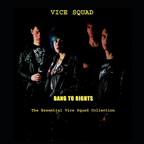 Amazon.com: Bang To Rights: The Essential Vice Squad Collection : Vice ...
